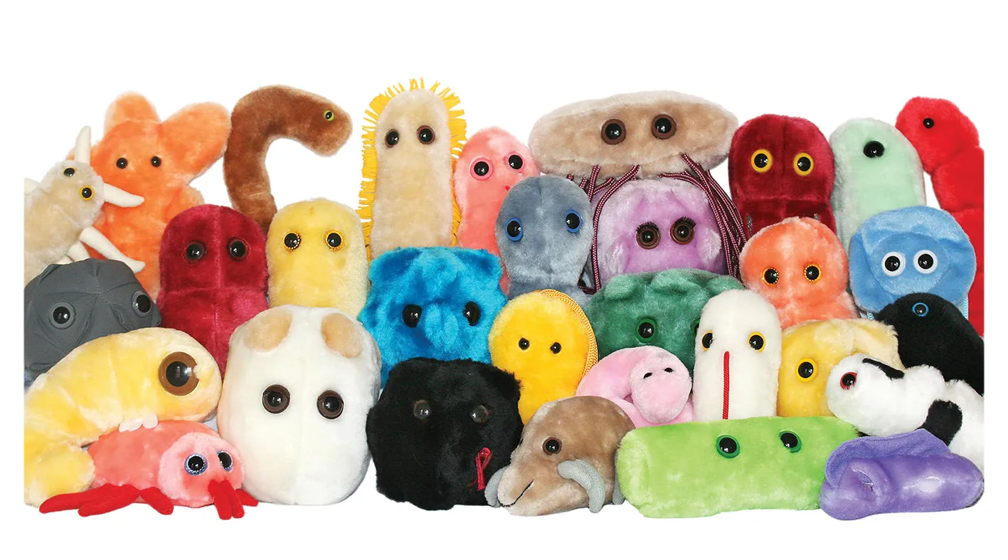 cute bacteria plush