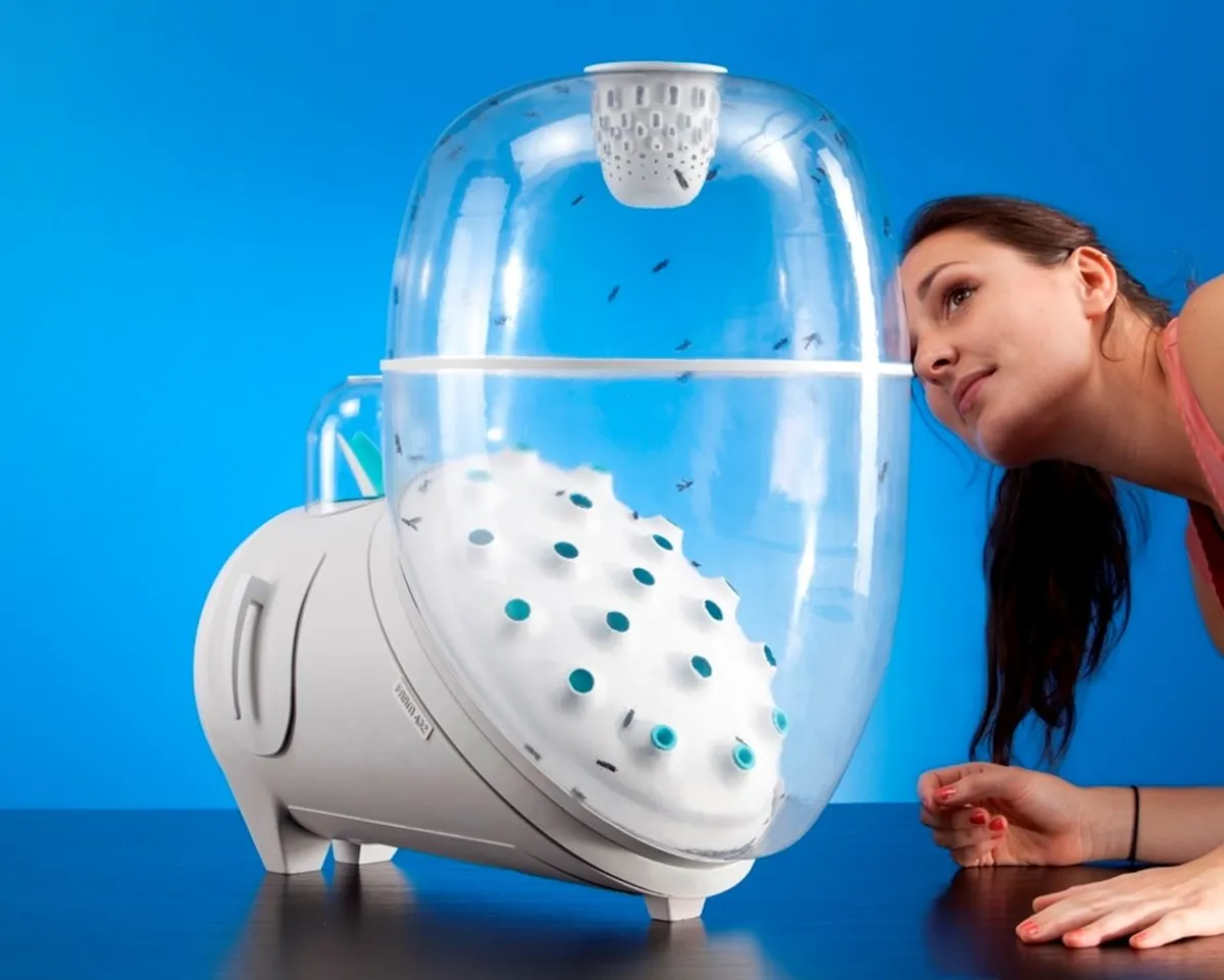 Grow your Dinner in a Kitchen Insect Farm | Next Nature