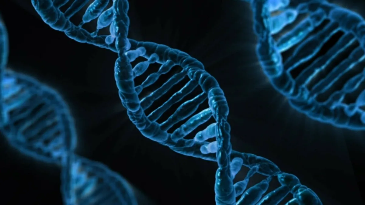 Exploring assisted evolution with Prof. Dr. John van der Oost | Next Nature